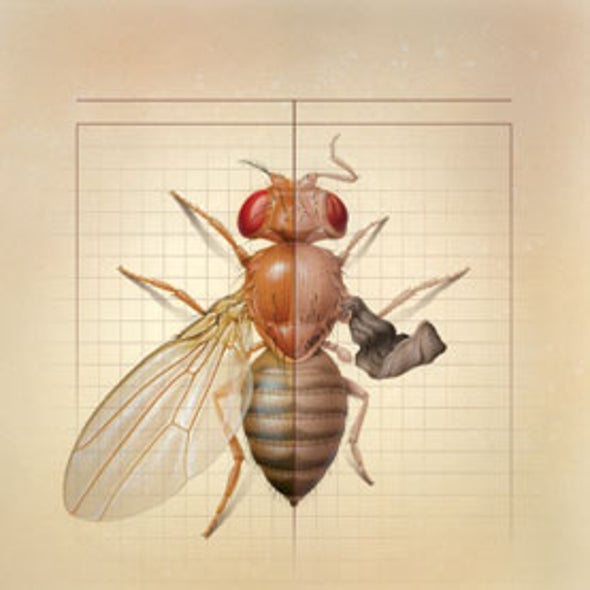 The Surprising Origins of Evolutionary Complexity - Scientific American