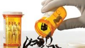 Stories by Jonathan Kahn News and Research - Scientific American