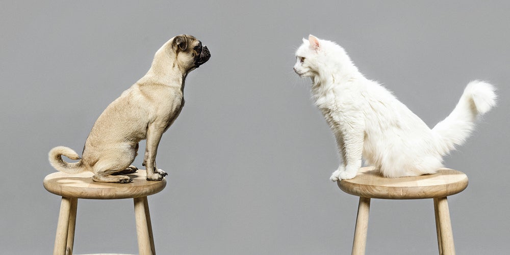 Our Truest Companions | Scientific American