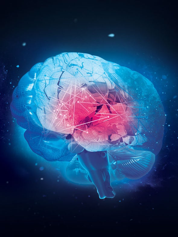 Light-Sensitive Neurons Reveal the Brain's Secrets - Scientific American