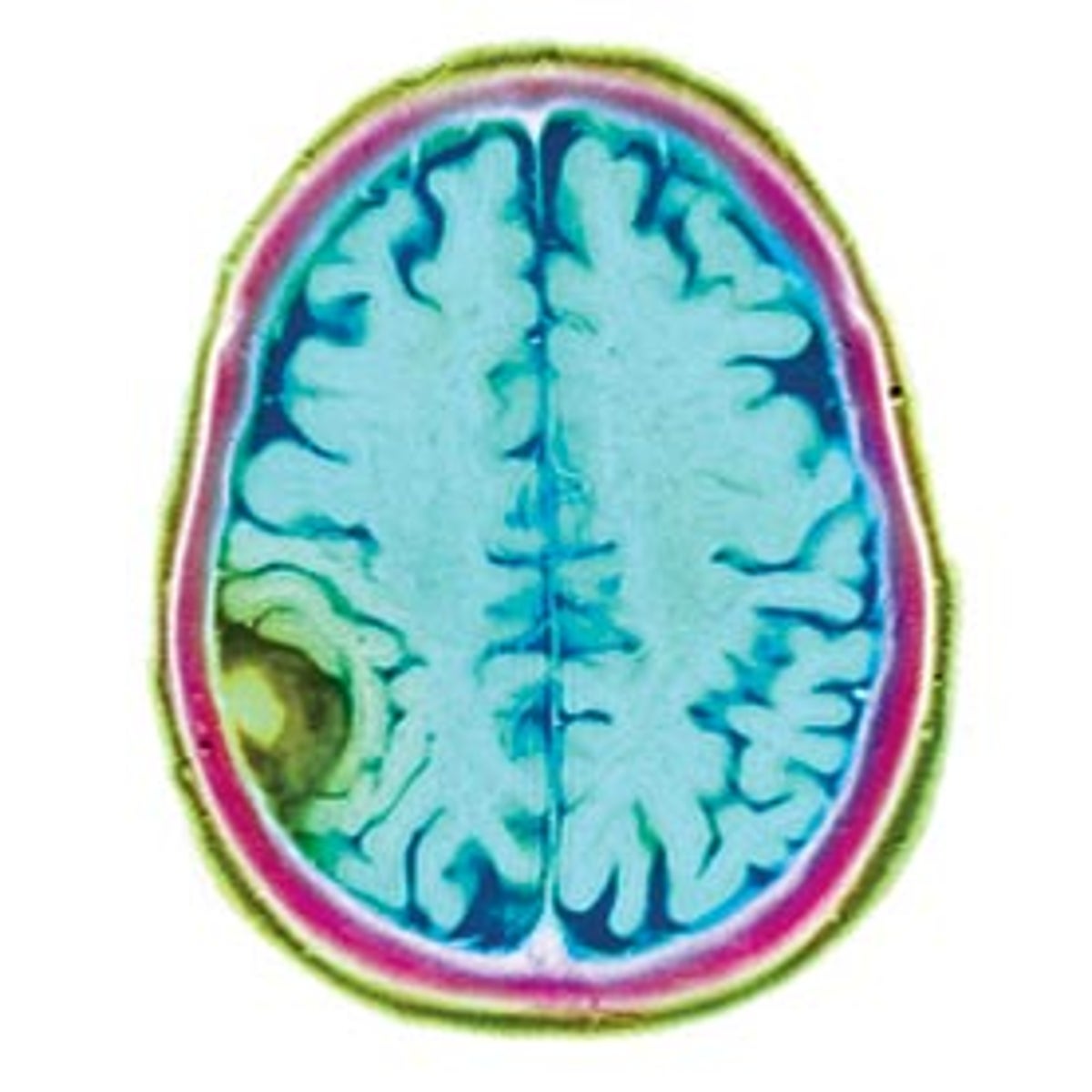 MIND Calendar November December 2011 Scientific American mind-calendar-november-december-2011-scientific-american