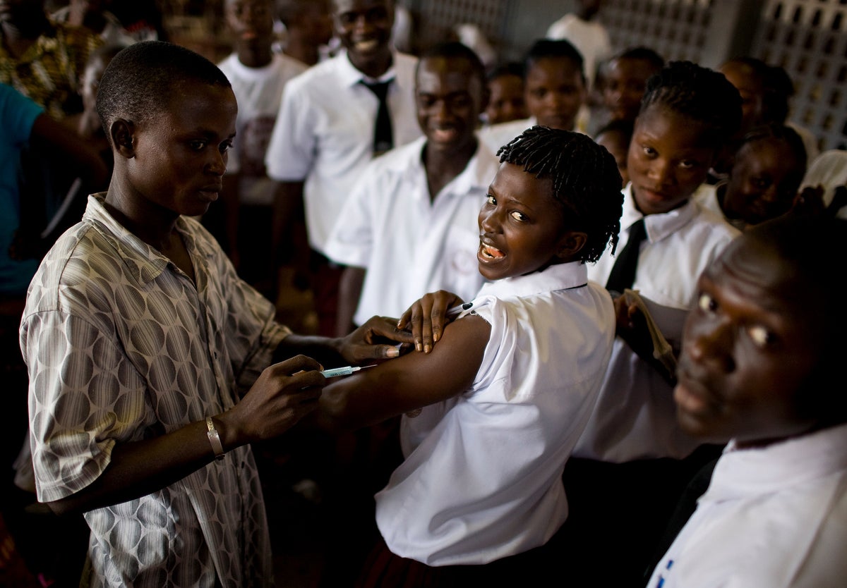 Fears Rise over Yellow Fever's Next Move | Scientific American