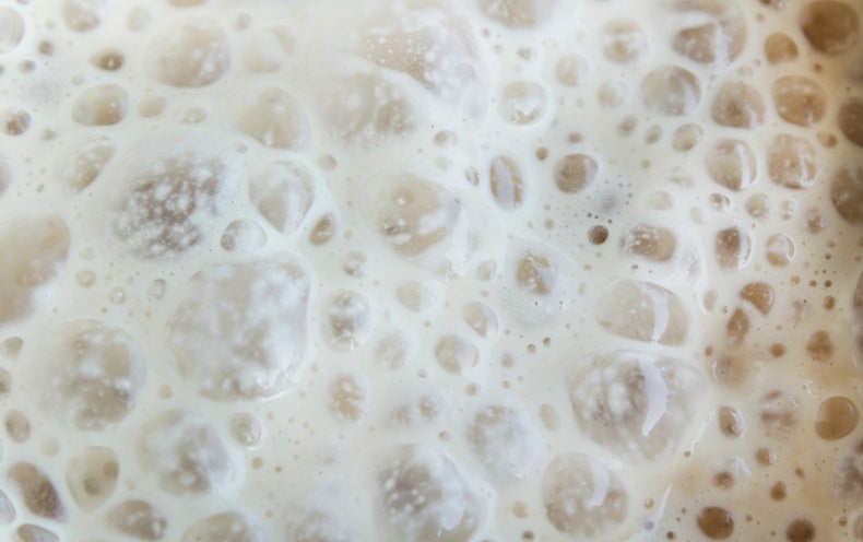 Rising High: GM Yeast Generates Known and Novel Marijuana Compounds ...