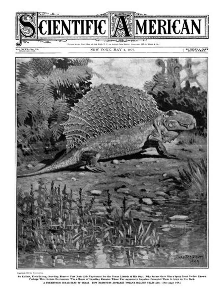 Naosaurus: A Fossil Wonder | Scientific American