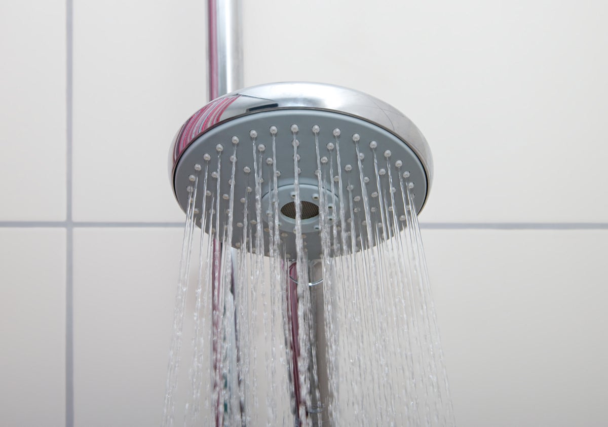 Smart Meters Speed Showers | Scientific American