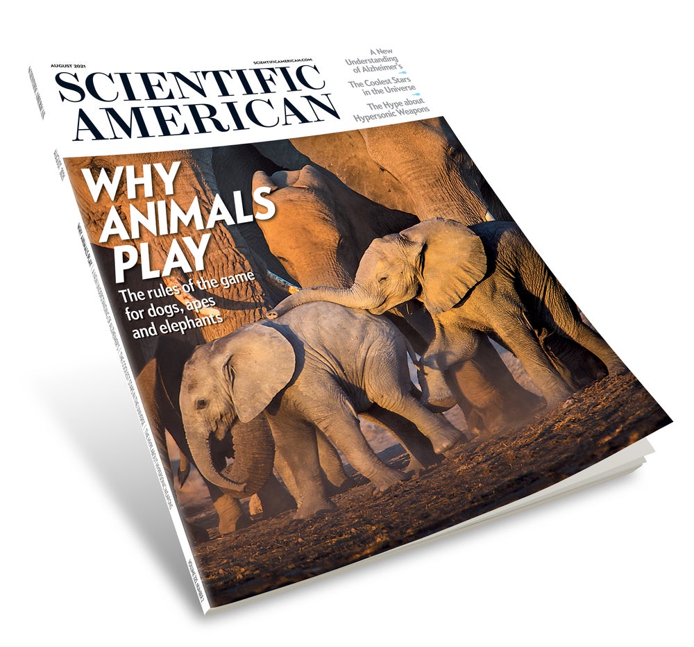 Animal Play Is Delightfully Meaningful | Scientific American
