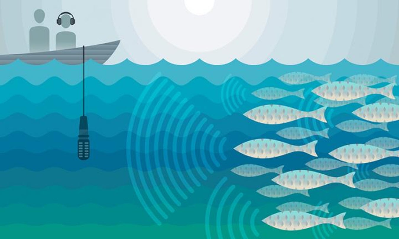 This Fish Emits Damaging Decibels | Scientific American