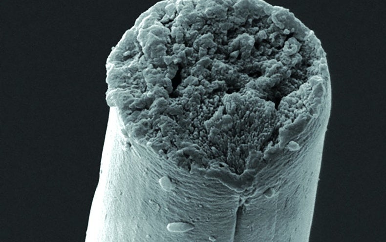 Creating Synthetic Silk from Microbes - Scientific American