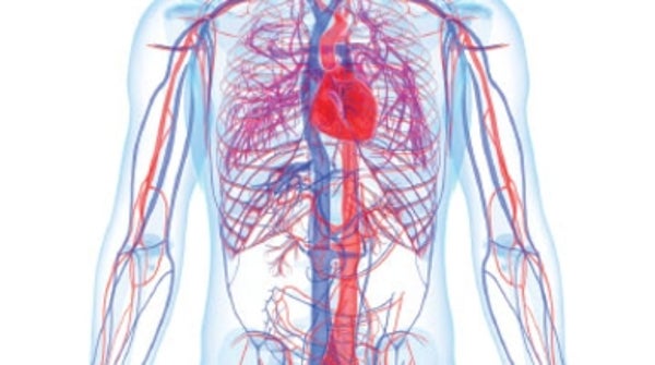 Blood Type Matters for Brain Health - Scientific American