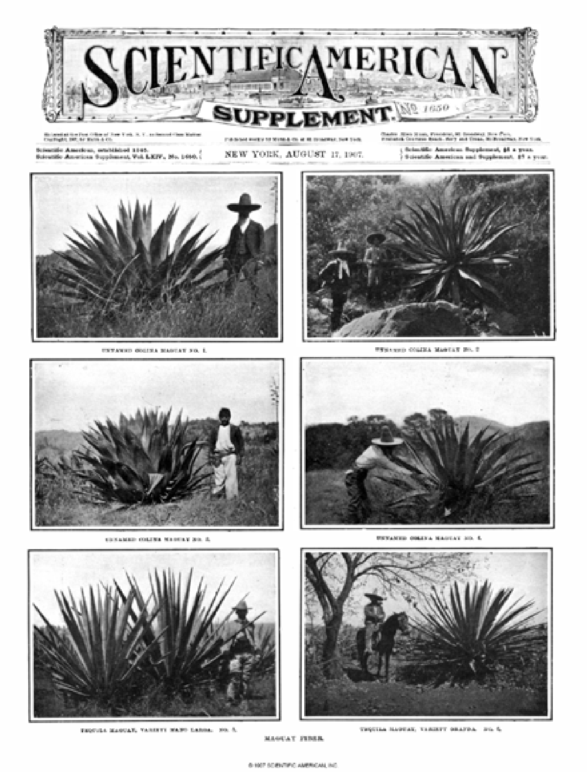 Scientific American Supplements Volume 64, Issue 1650supp | Scientific ...