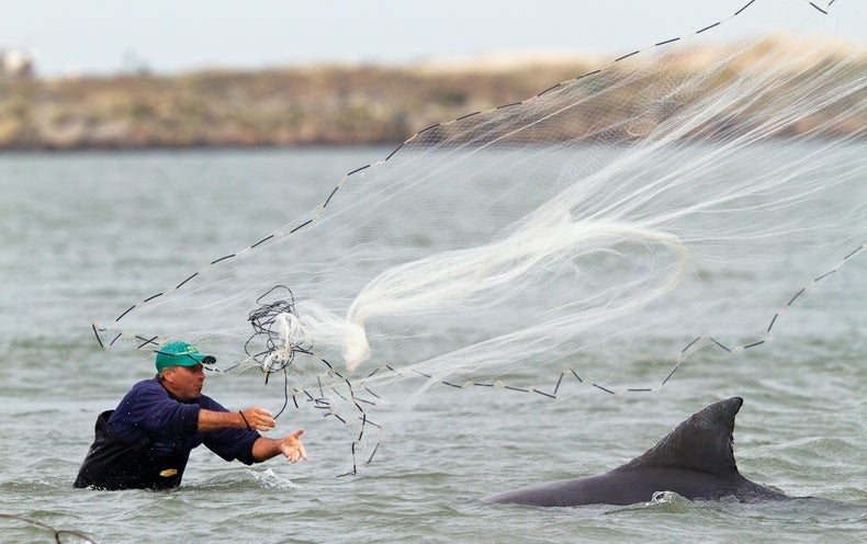 A Famed Dolphin-Human Fishing Partnership Is in Danger of Disappearing ...