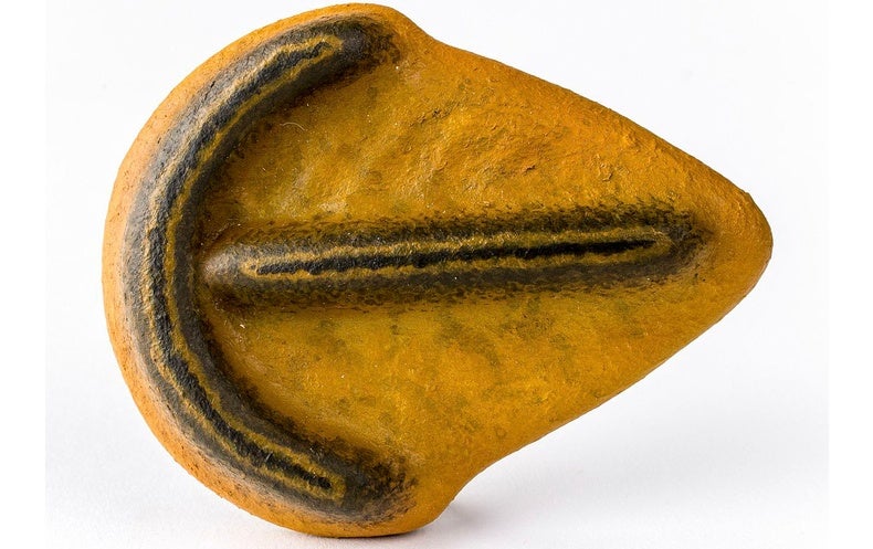 Reverse Engineering Mysterious 500-Million-Year-Old Fossils That ...