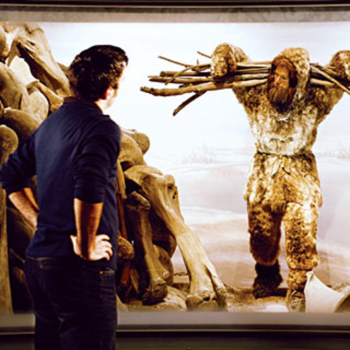 Evolution of the Mind: 4 Fallacies of Psychology | Scientific American