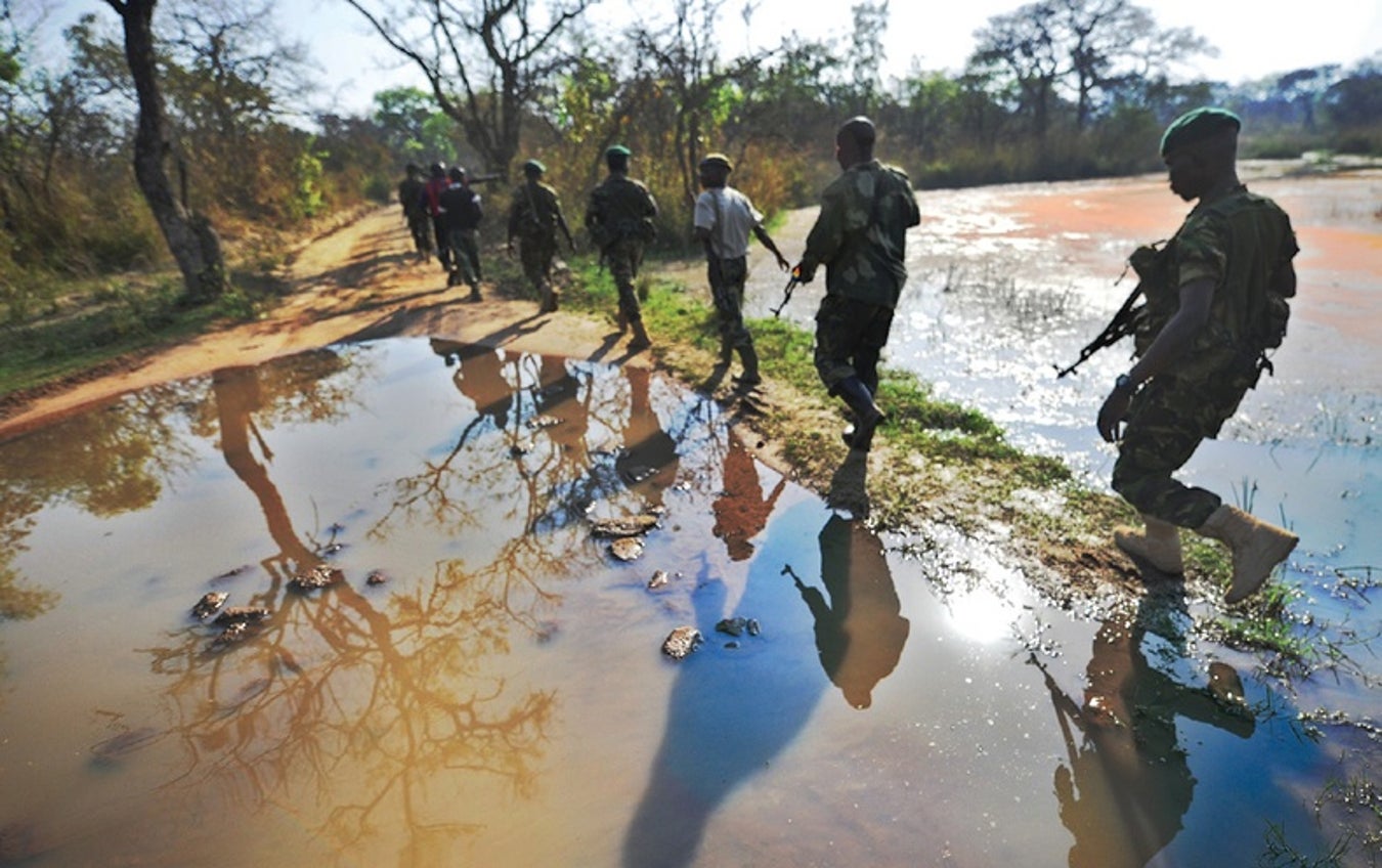 The Trauma of Saving Animals | Scientific American