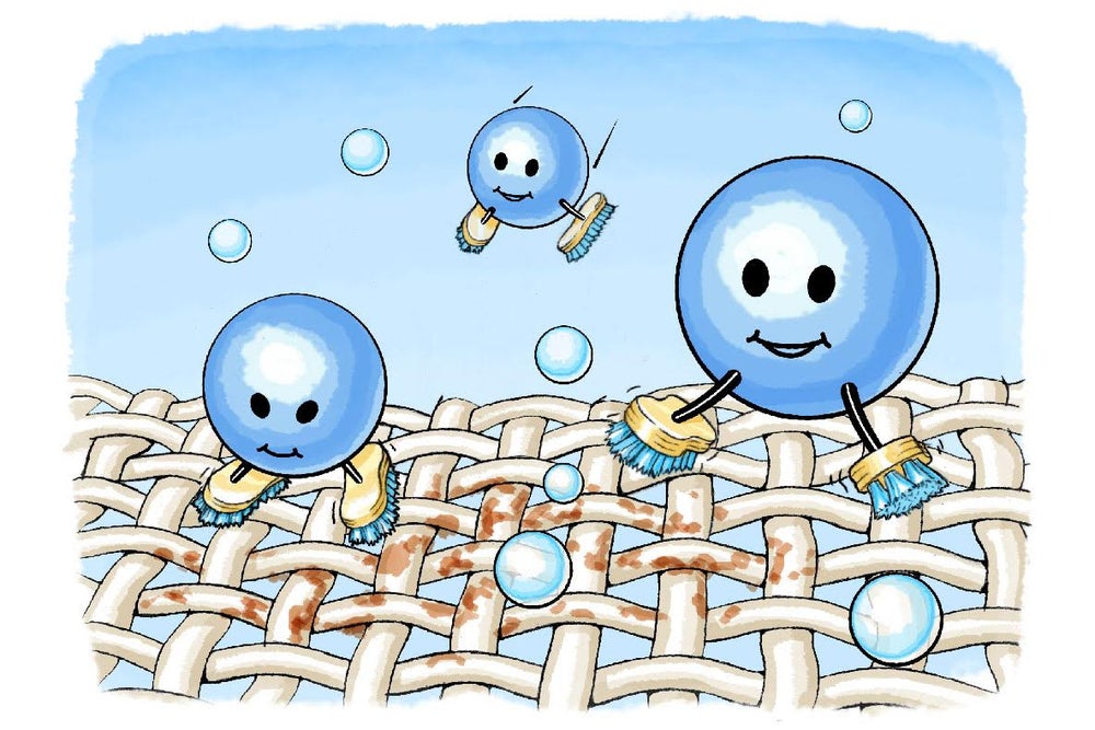 No Stain, No Pain! | Scientific American