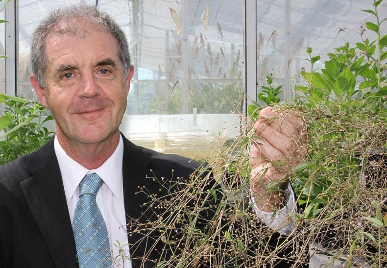 Turning Plants into Drug Factories - Scientific American