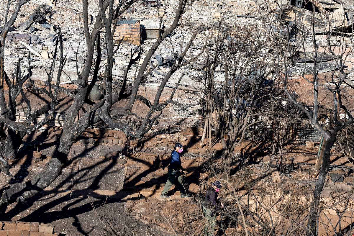How Archaeological Methods Are Helping Identify Victims of the Hawaii ...