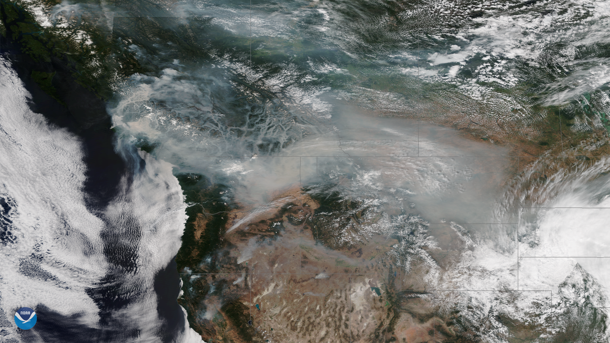Major Campaign Aims to Unravel Exactly What Is in Wildfire Smoke ...