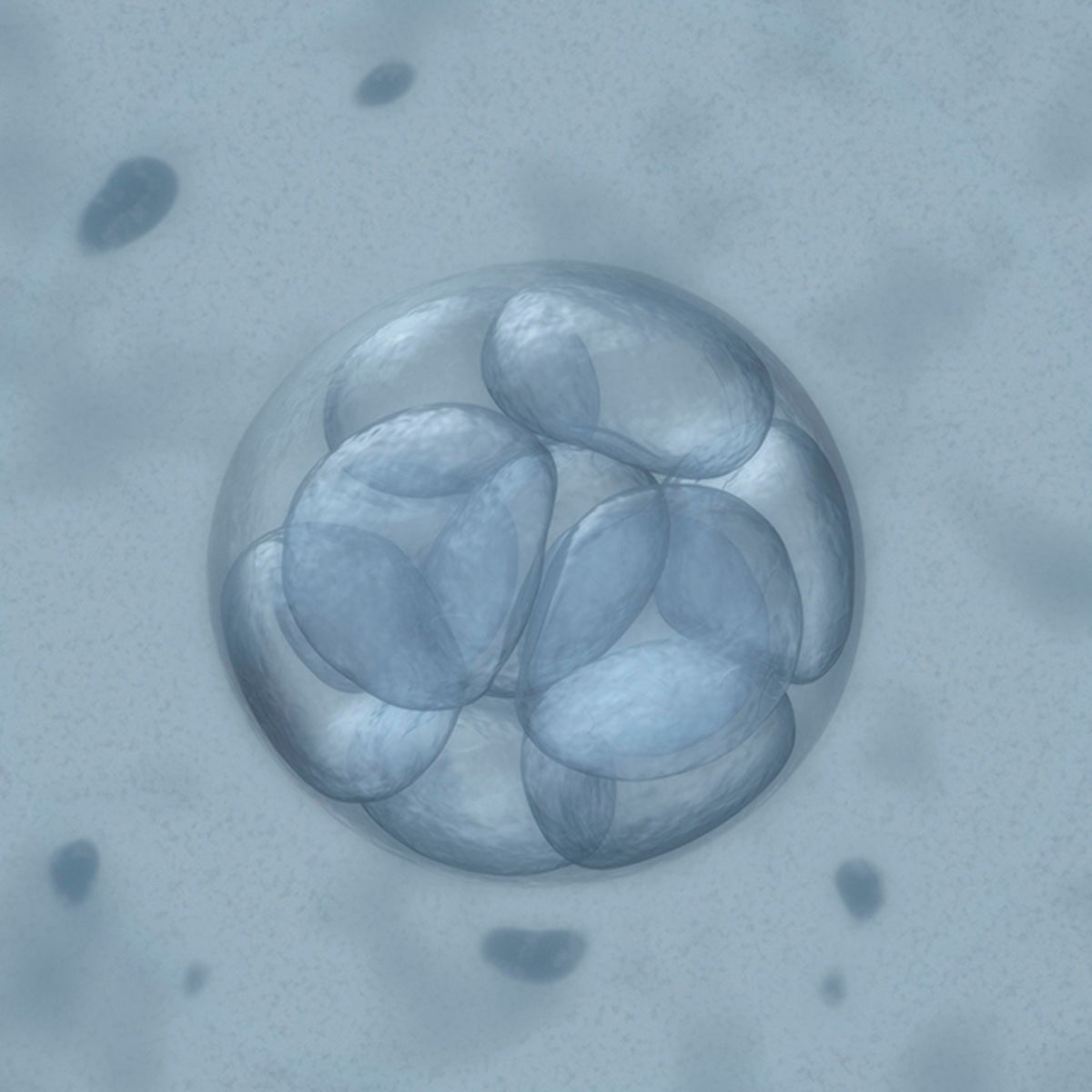 Where Could the First CRISPR Baby Be Born? | Scientific American