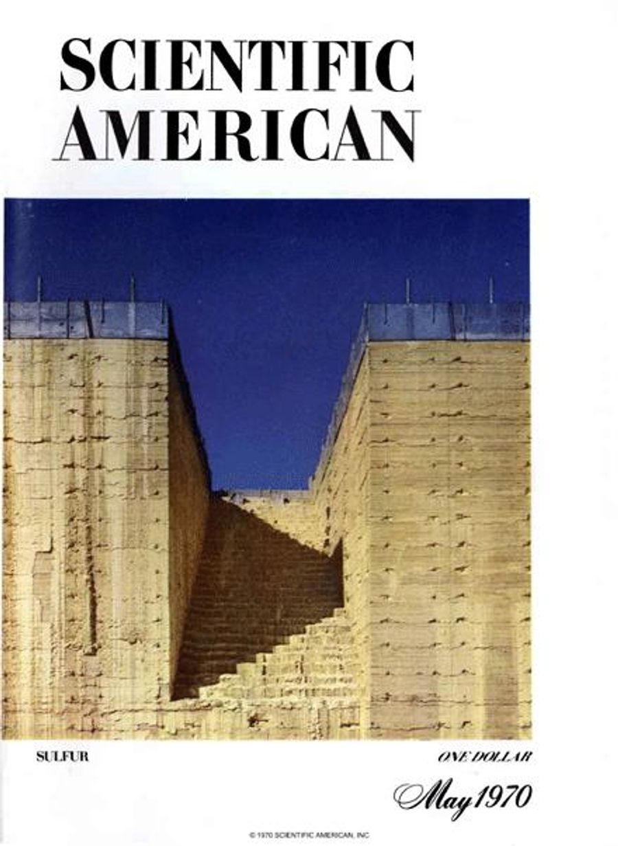 Intercellular Communication Scientific American 4170
