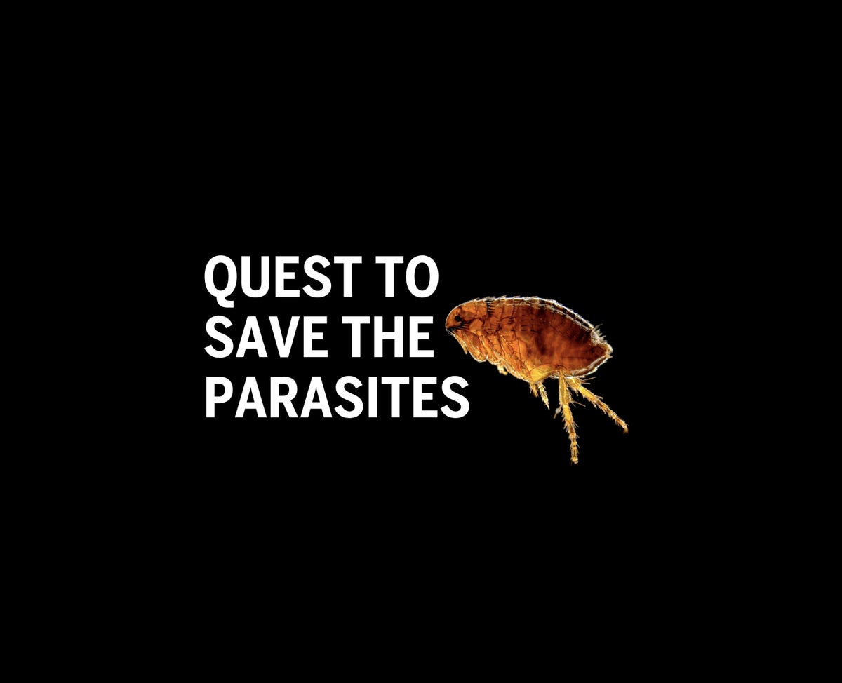 Inside the Scientific Quest to Save (Most of) the World's Parasites ...