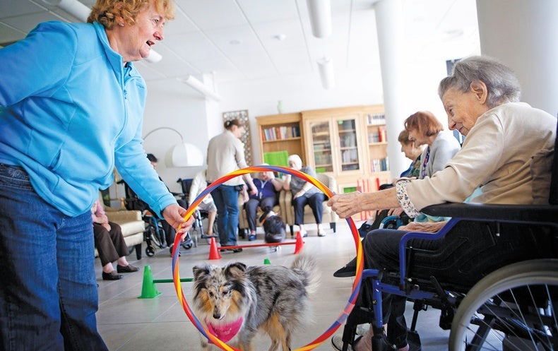 Can Animals Be Therapeutic? - Scientific American