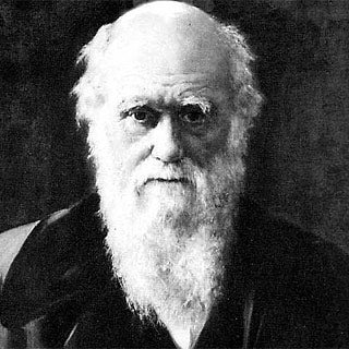Darwin Speaks: "How faithlessness stalked me" - Scientific American