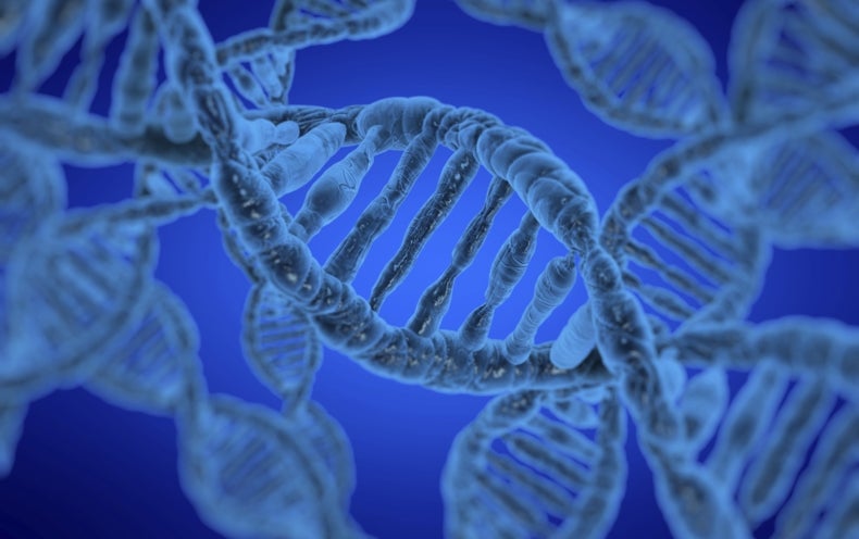 Plant and Animal DNA Suggests First Americans Took the Coastal Route ...