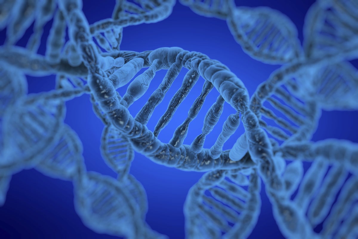 Plant and Animal DNA Suggests First Americans Took the Coastal Route ...