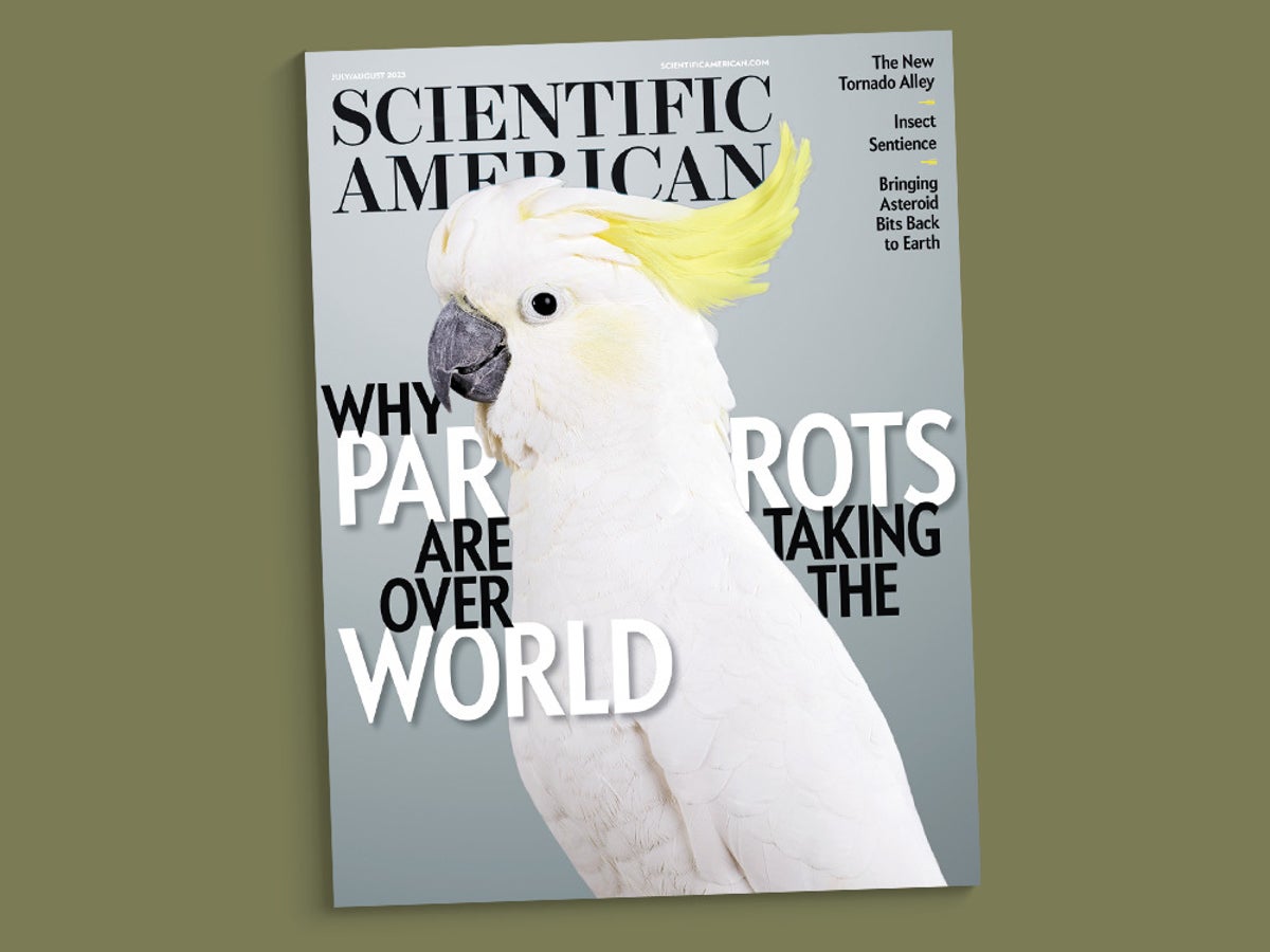 Inside the Minds of People, Parrots and Bees | Scientific American