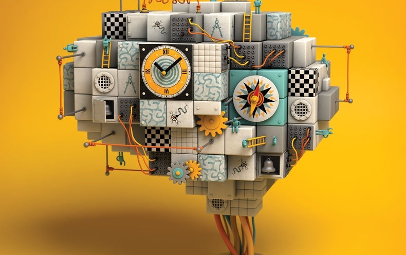 In Search of the Brain's Social Road Maps - Scientific American