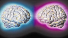 Stories by Larry Cahill - Scientific American