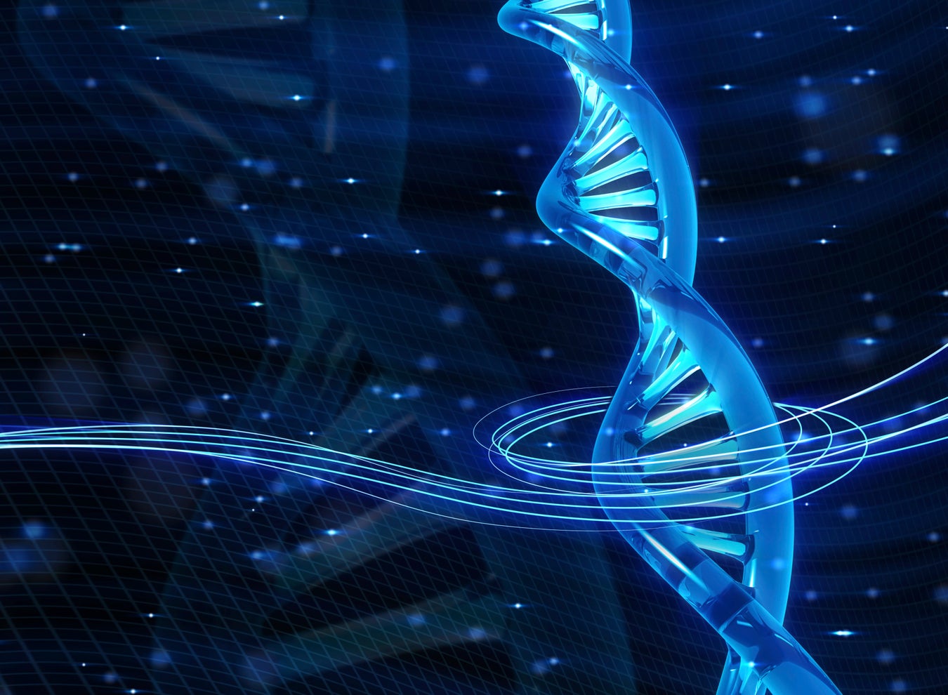 3 Human Chimeras That Already Exist | Scientific American