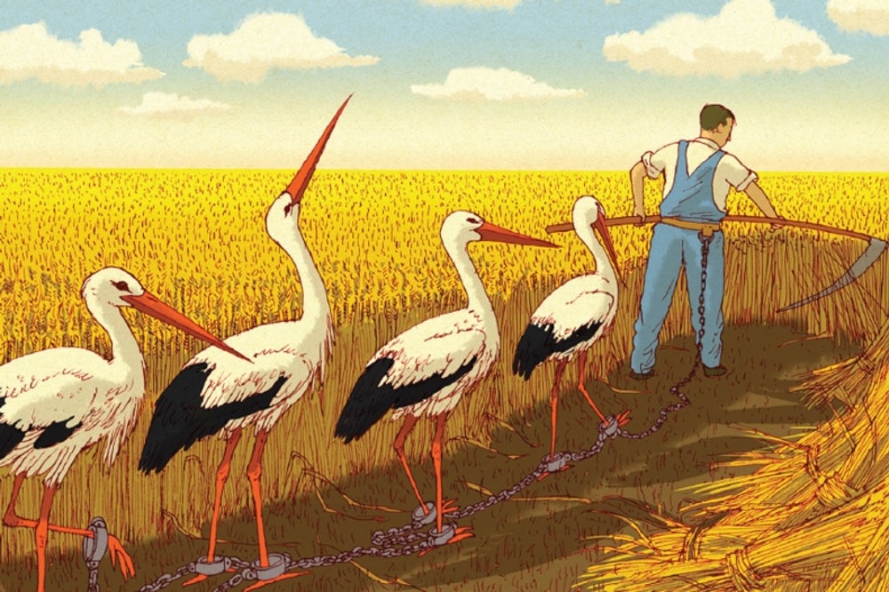 Why Malthus Is Still Wrong | Scientific American