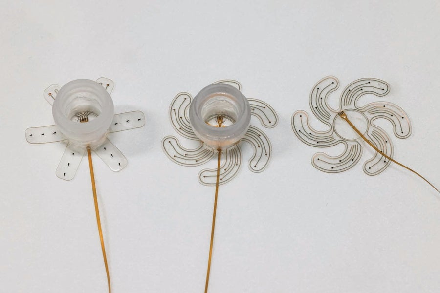 New Soft Electrode Unfolds inside the Skull | Scientific American