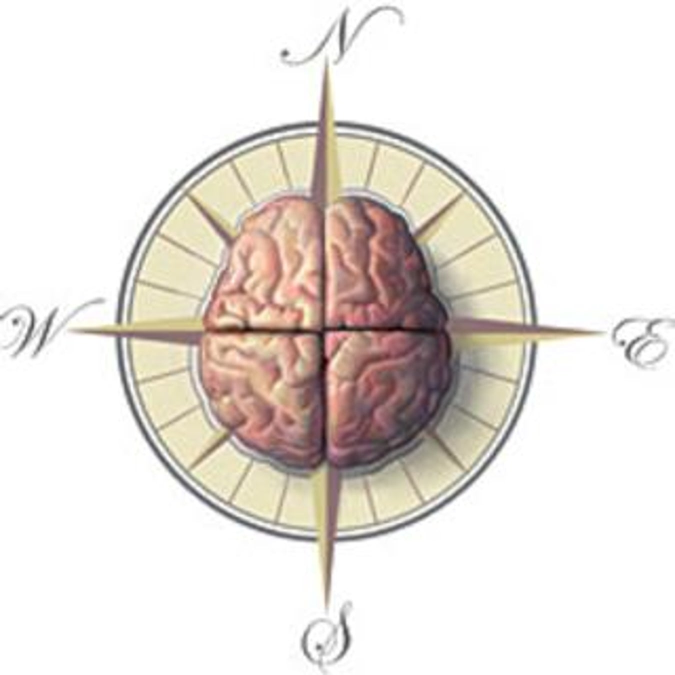 Nerd a Vacation?: Travel with The Geek Atlas | Scientific American