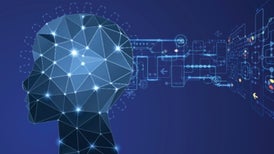 Stories by Sara Chodosh News and Research - Scientific American