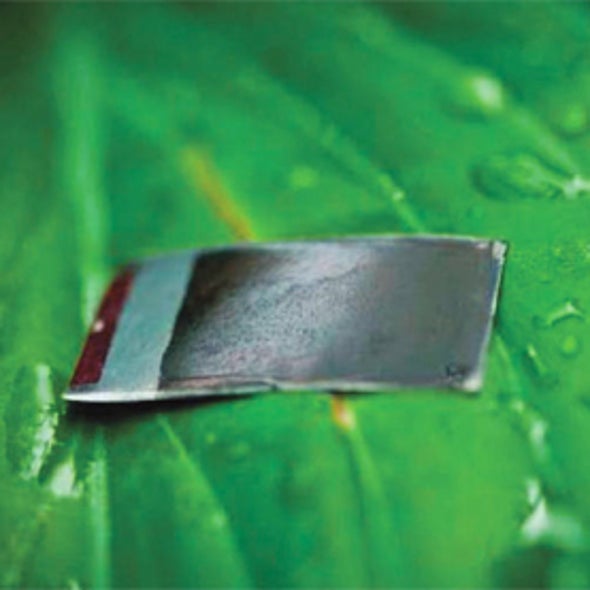 "Artificial Leaf" Hits Development Hurdle - Scientific American