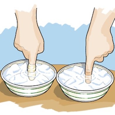 How Animals Stay Warm with Blubber - Scientific American