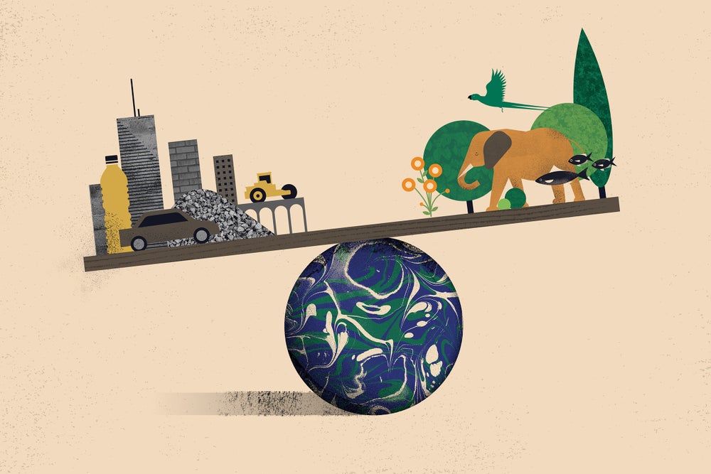 Human-Made Stuff Now Outweighs All Life on Earth | Scientific American