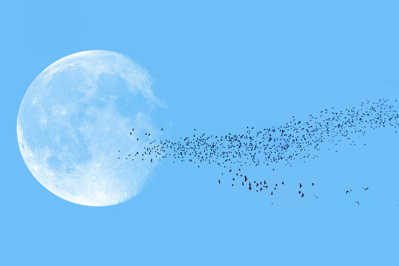 Human Remains Are Headed to the Moon despite Objections | Scientific ...