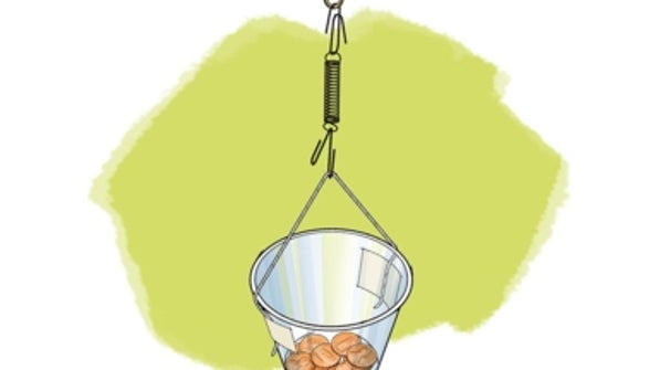 Make Your Own Spring Scale - Scientific American
