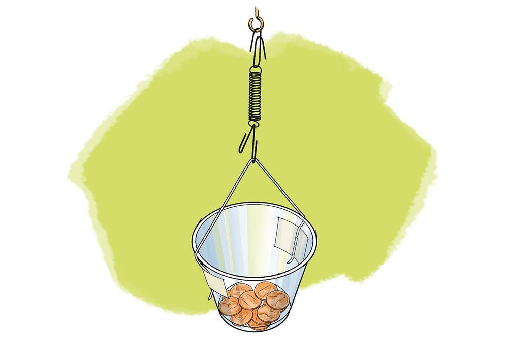 Make Your Own Spring Scale | Scientific American