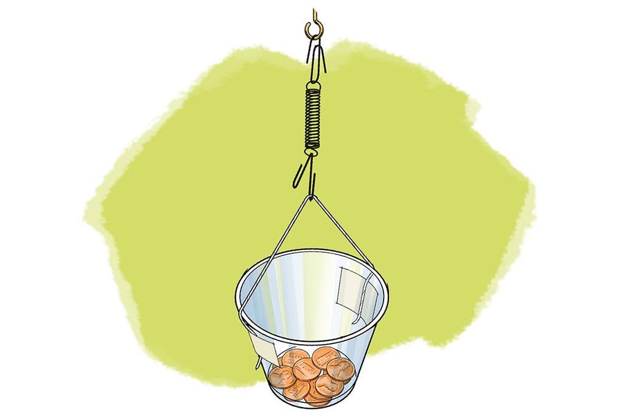 Make Your Own Spring Scale | Scientific American