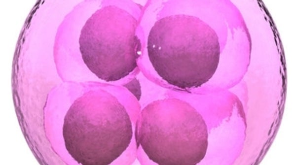 New Test Lets Women Pick Their Best IVF Embryo - Scientific American