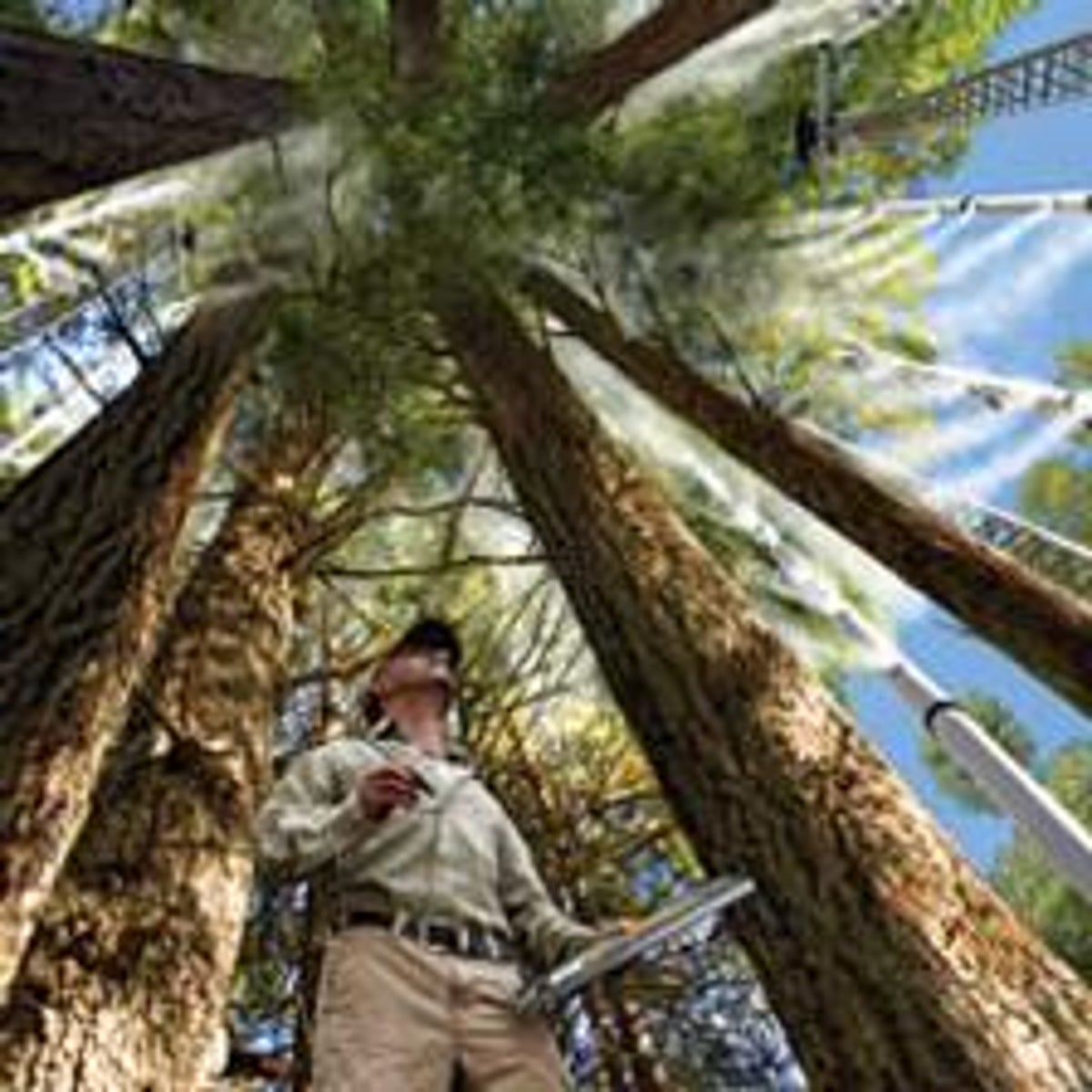 Climate Change: A Controlled Experiment | Scientific American