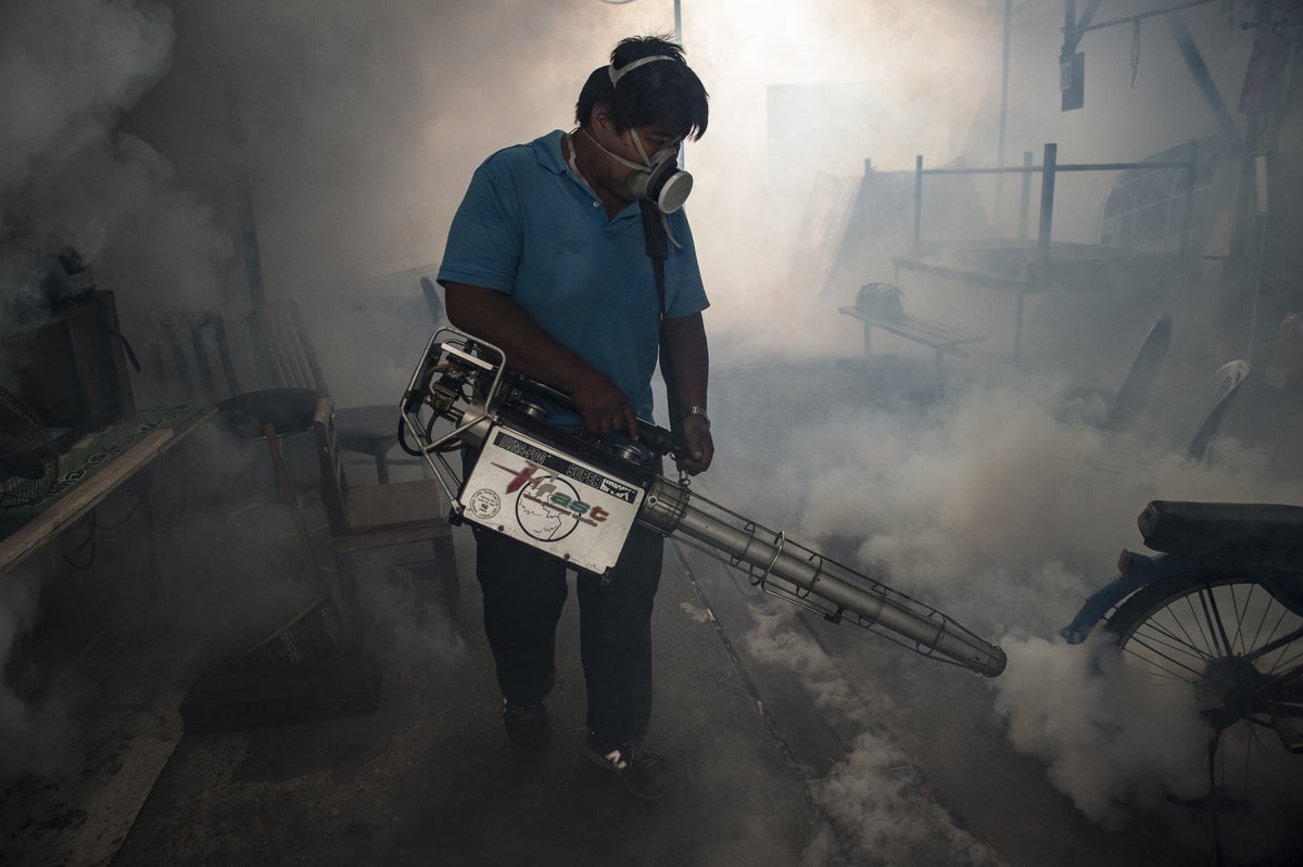 The Next Zika | Scientific American