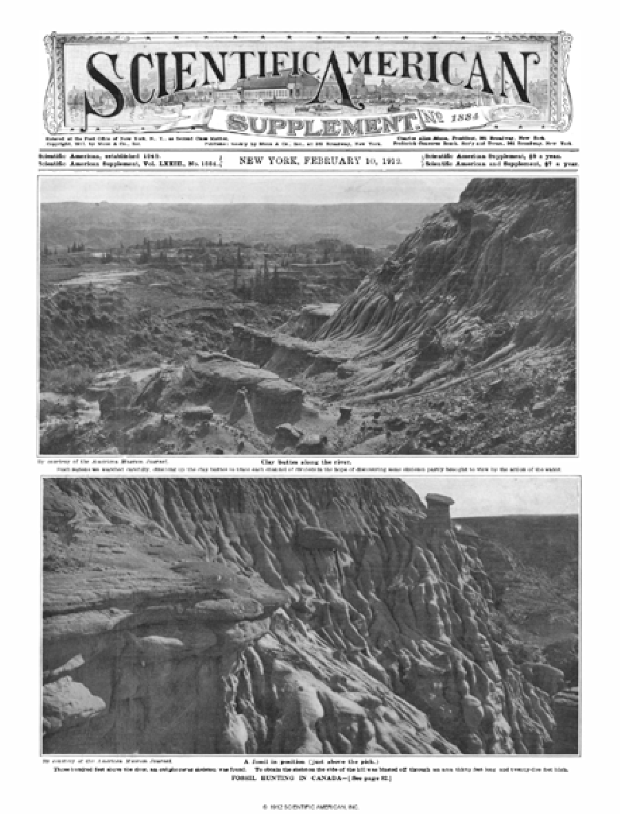 The Physical Properties of Cast Iron | Scientific American