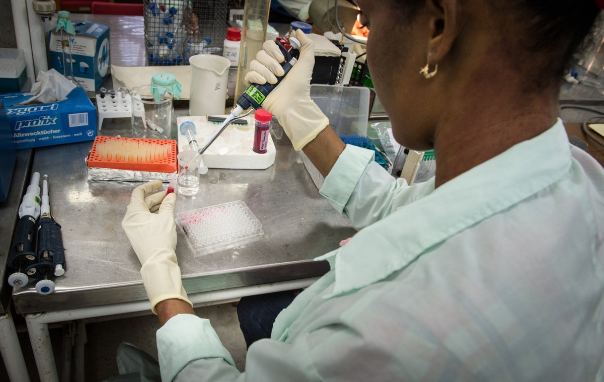 Can Cuban Science Go Global? | Scientific American