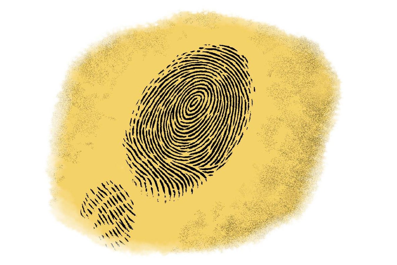 Finding Fingerprints | Scientific American